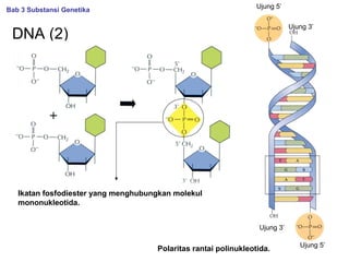 Bab 3: Substansi Genetika | PPT