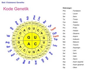 Bab 3: Substansi Genetika | PPT