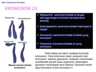 Bab 3: Substansi Genetika | PPT