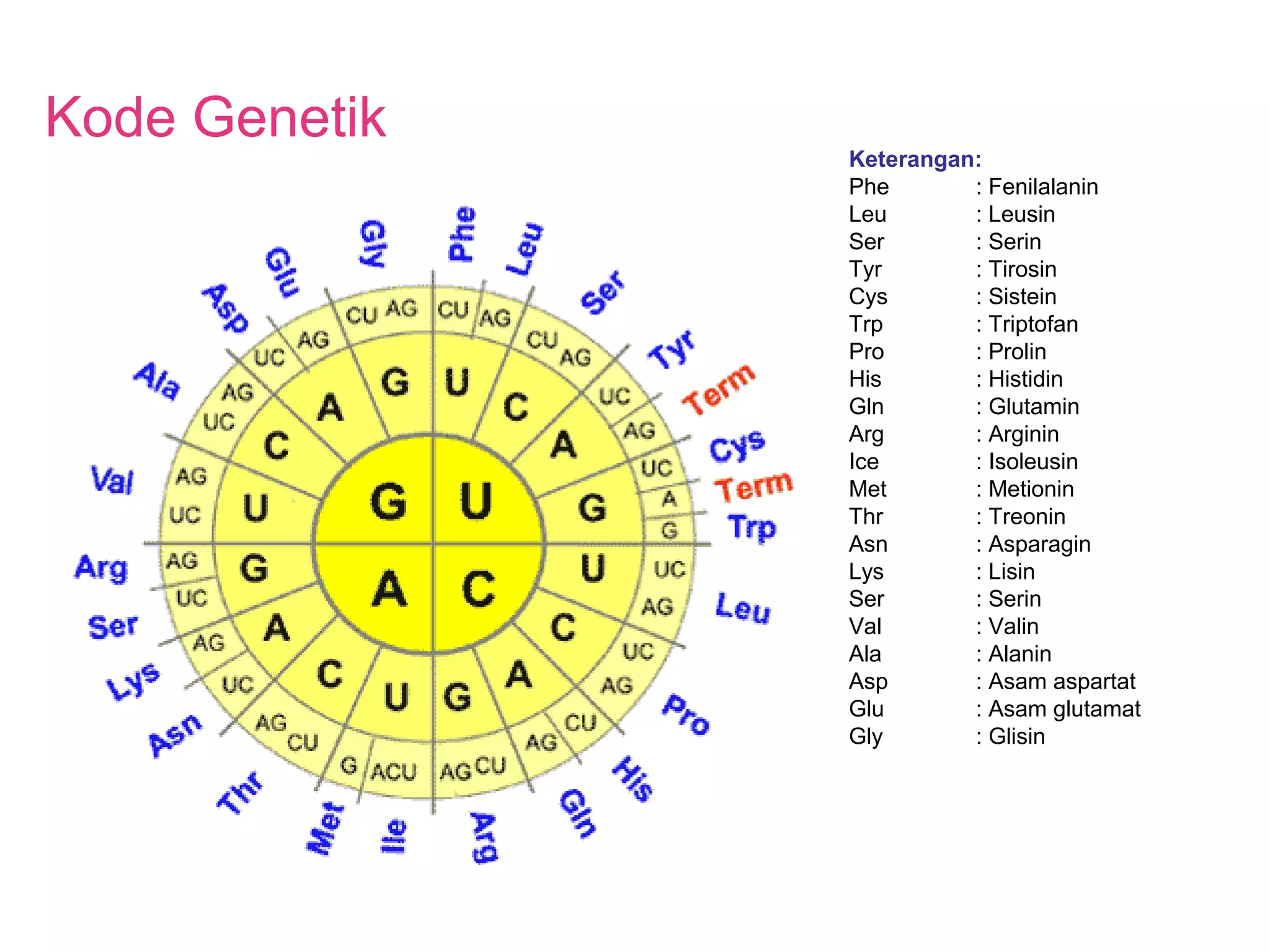 substansi genetika | PPT