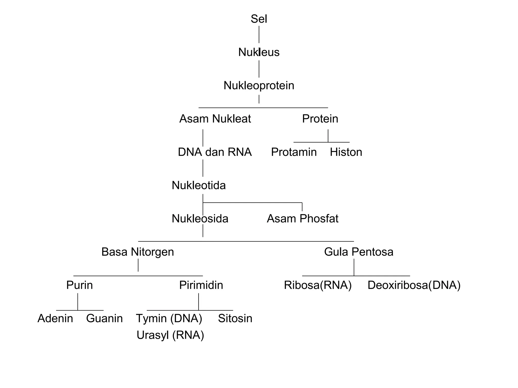 substansi genetika | PPT