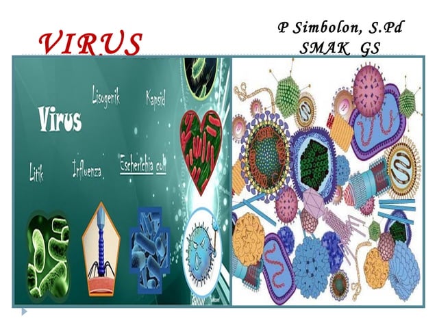 PPT VIRUS | PPT