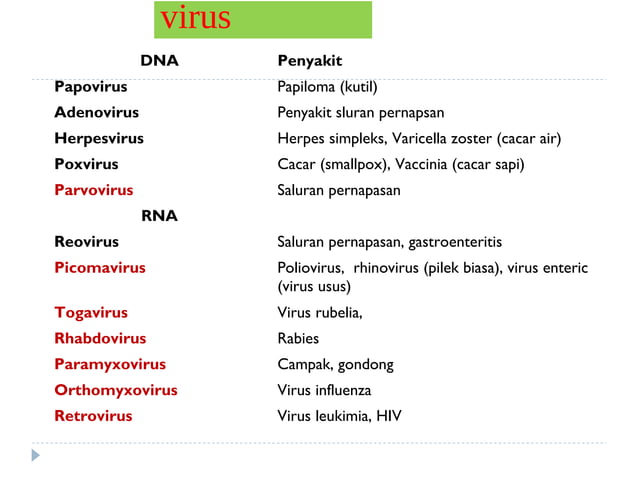PPT VIRUS | PPT