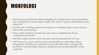 Bab 4. klasifikasi vertebrata berdasarkan morfologinya | PPTX