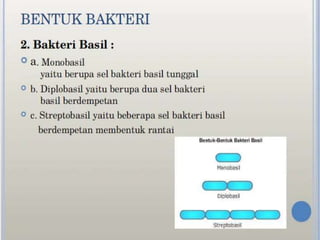 BAB 4. BAKTERI.pptx