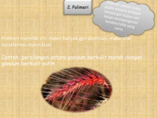 Bab 4 hukum hereditas, penerapan - Kelas 3 SMA | PPTX