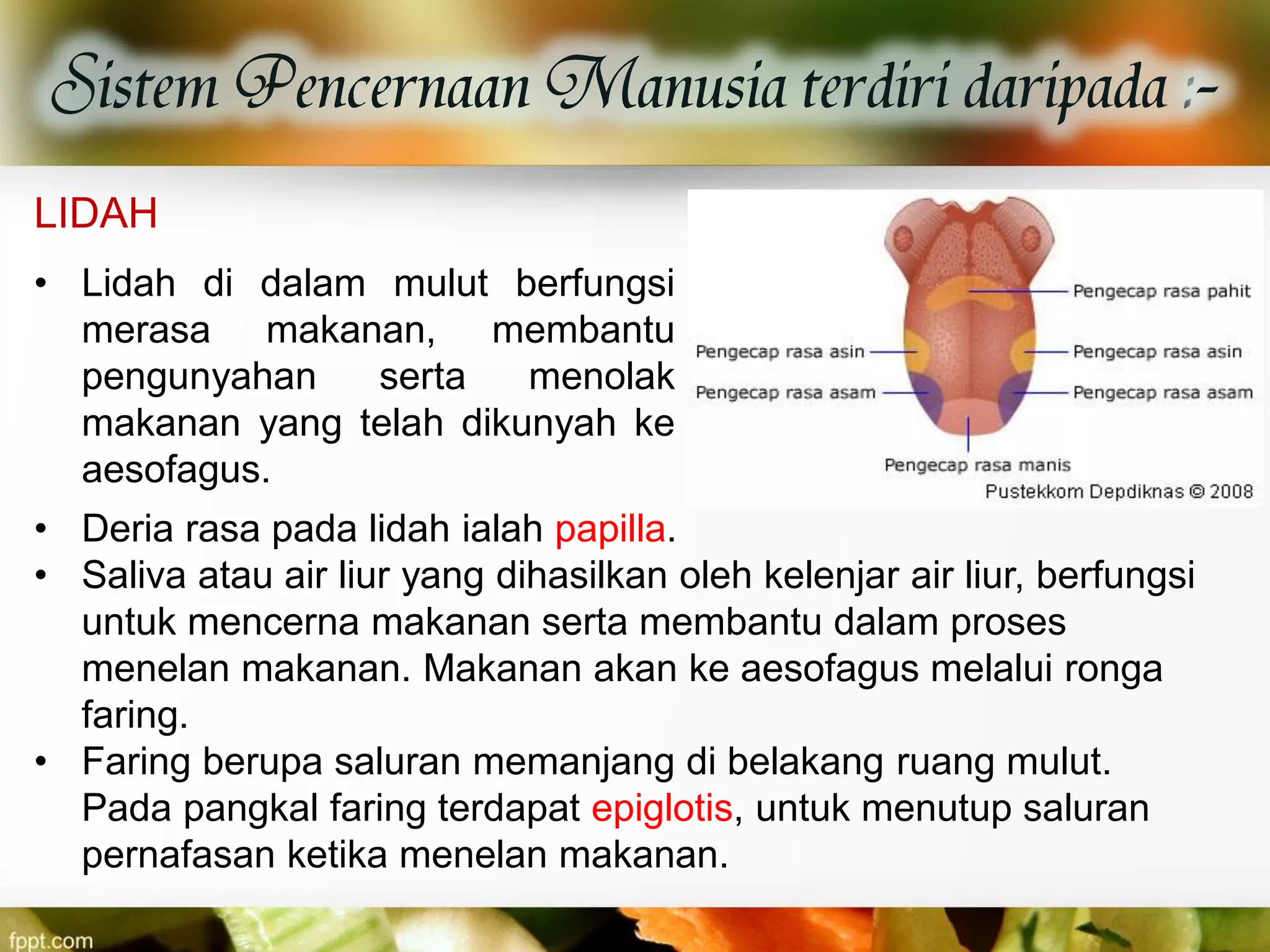 Bab 4 Pemakanan Sukan | PDF