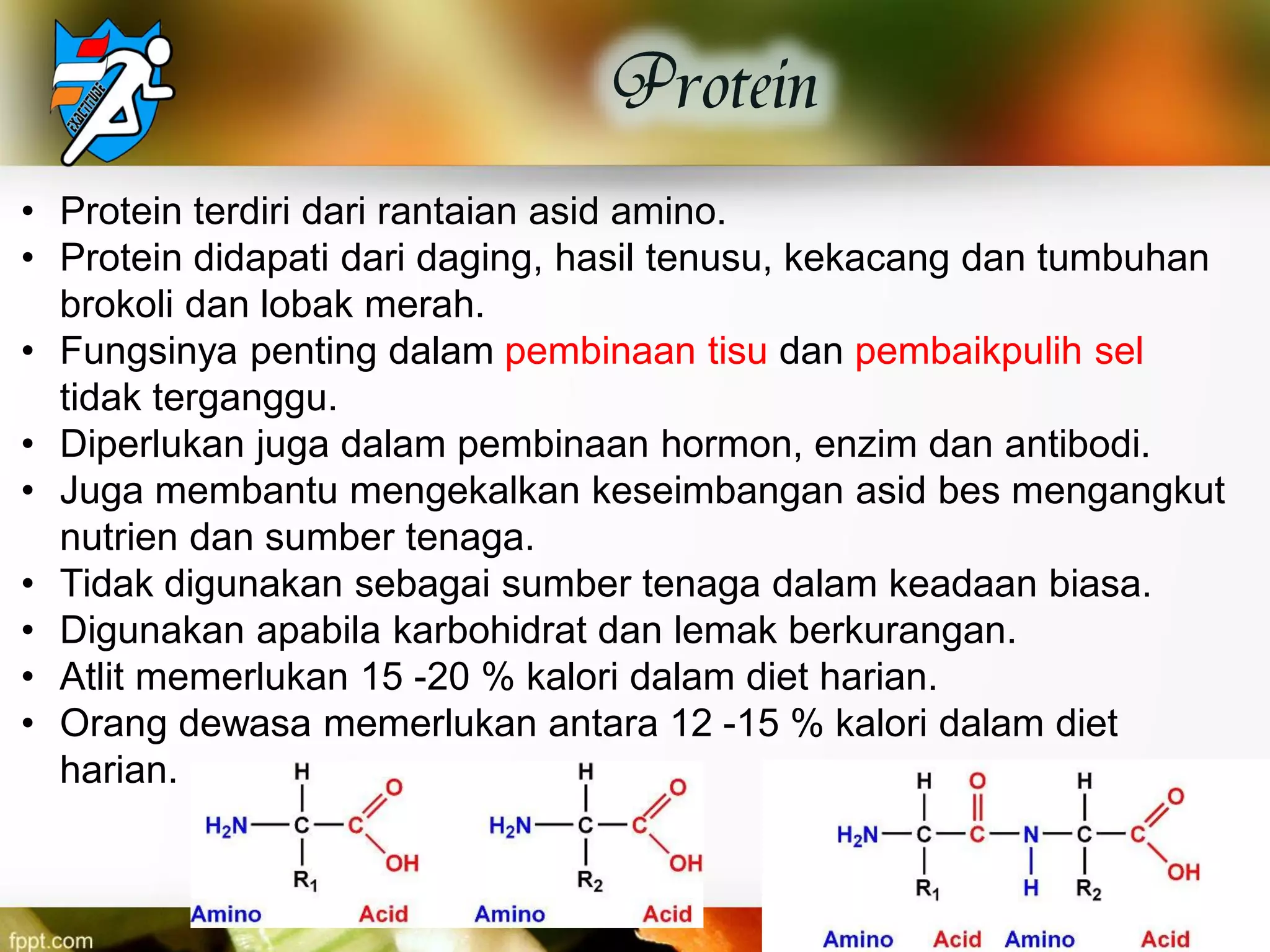 Bab 4 Pemakanan Sukan | PDF