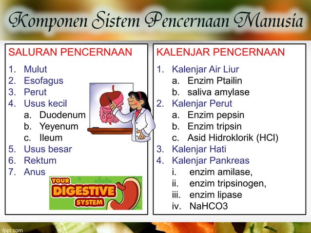 Bab 4 Pemakanan Sukan | PDF