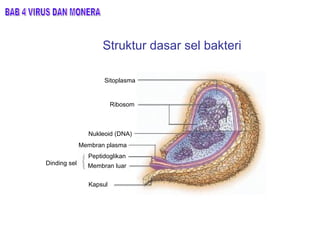 Bab 4.prokariota | PPT