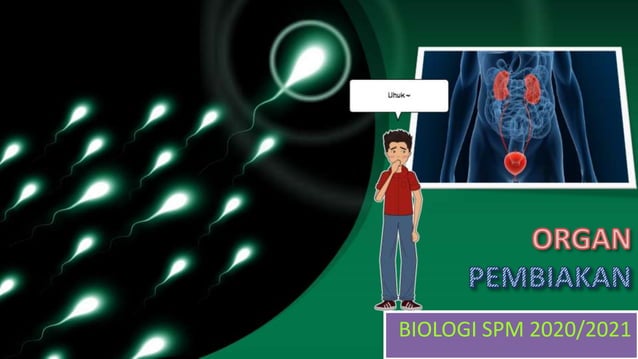 Bab 4 - Sistem Reproduksi.pptx