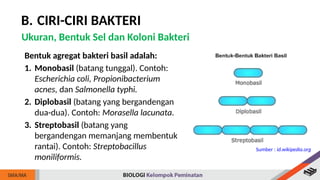 BAB 4 Archaebacteria dan Eubacteria.pptx