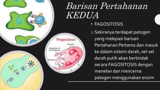 BAB 4 KESIHATAN MANUSIA.pptx