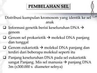Mitosis dan Meiosis | PPTX