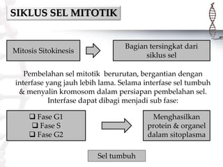 Mitosis dan Meiosis | PPTX