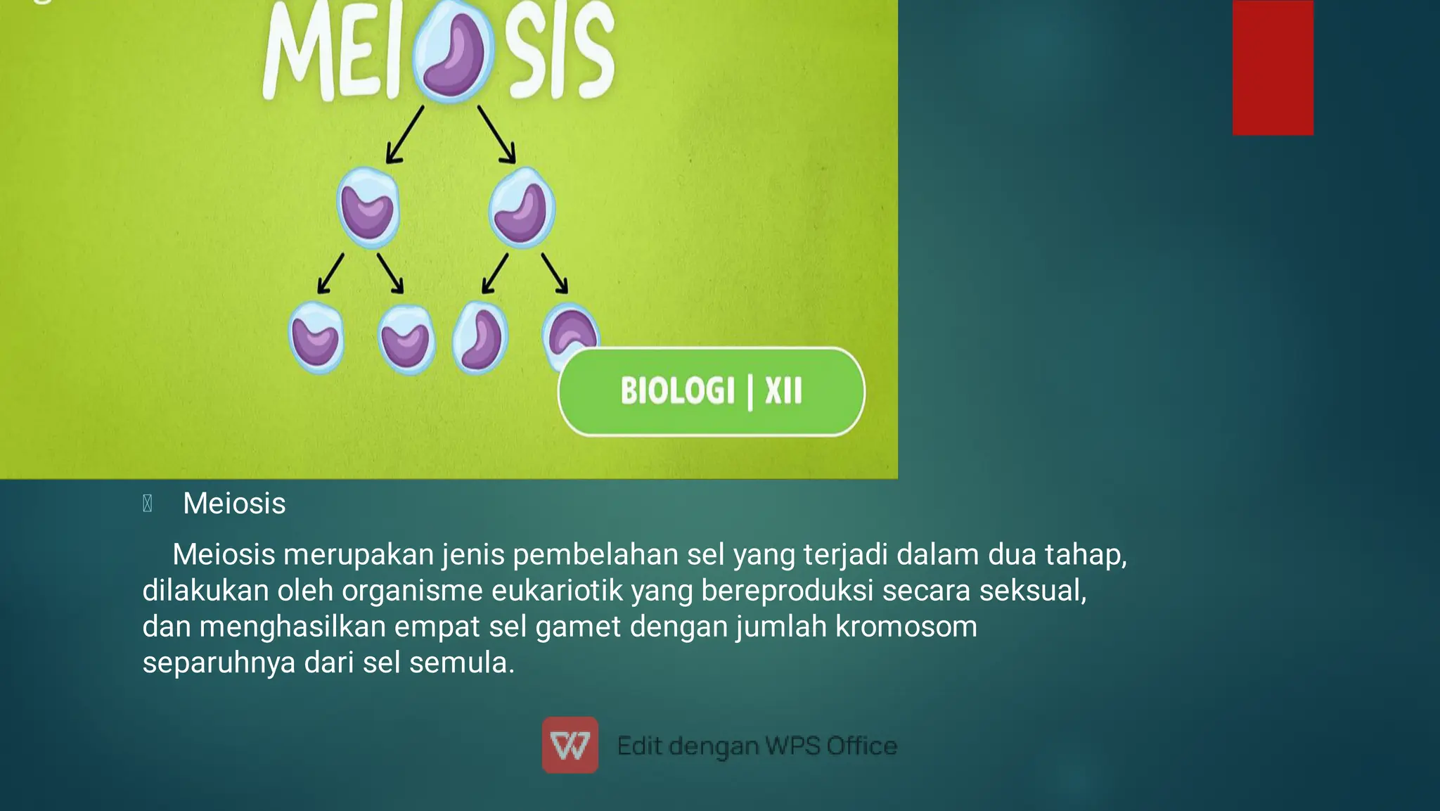 Bab 4 (Pembelahan sel) kelompok 1 pada kelas 12 IPA.pdf