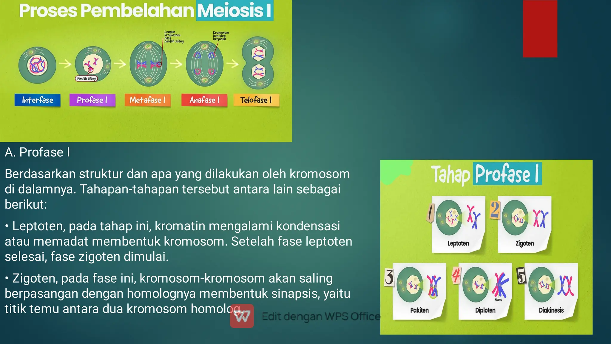 Bab 4 (Pembelahan sel) kelompok 1 pada kelas 12 IPA.pdf