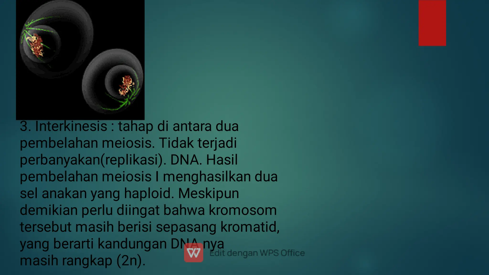 Bab 4 (Pembelahan sel) kelompok 1 pada kelas 12 IPA.pdf