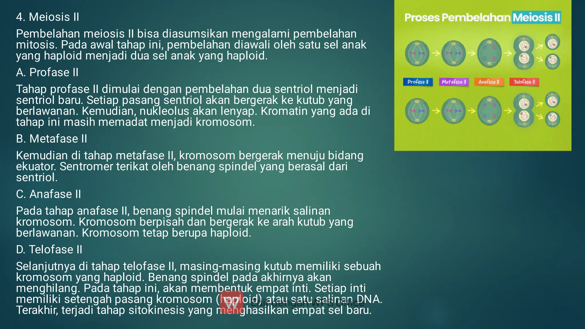 Bab 4 (Pembelahan sel) kelompok 1 pada kelas 12 IPA.pdf