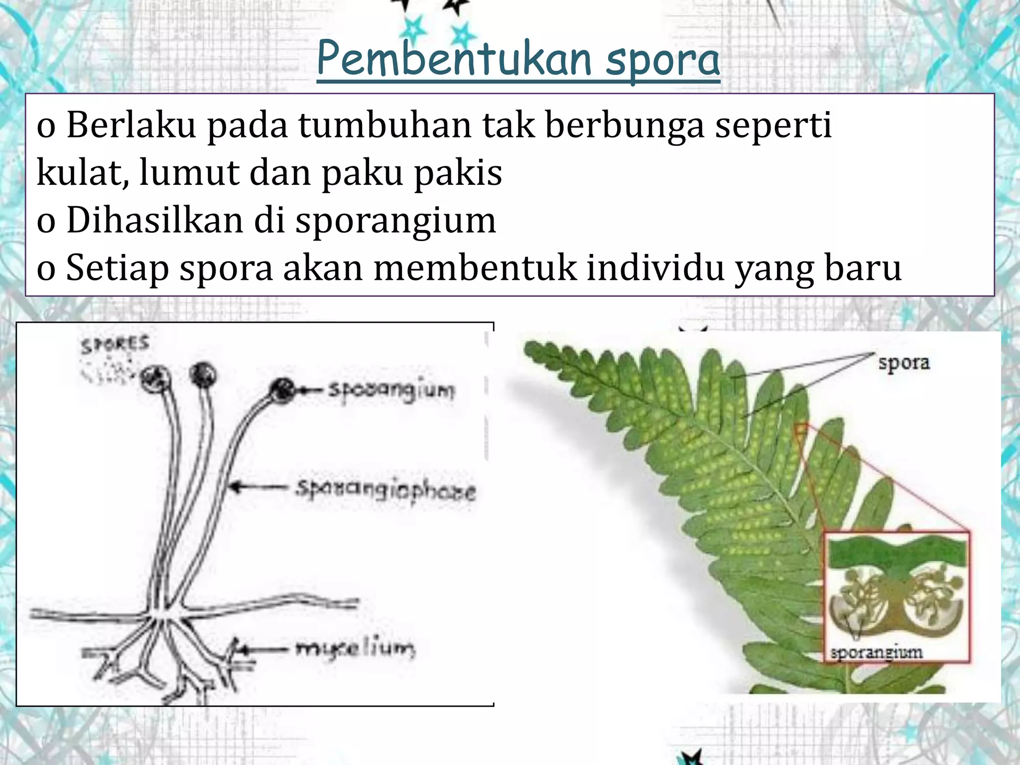 Bab 4 pembiakan | PPTX