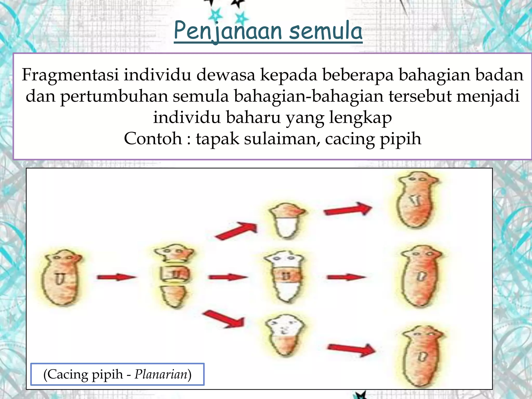 Bab 4 pembiakan | PPTX