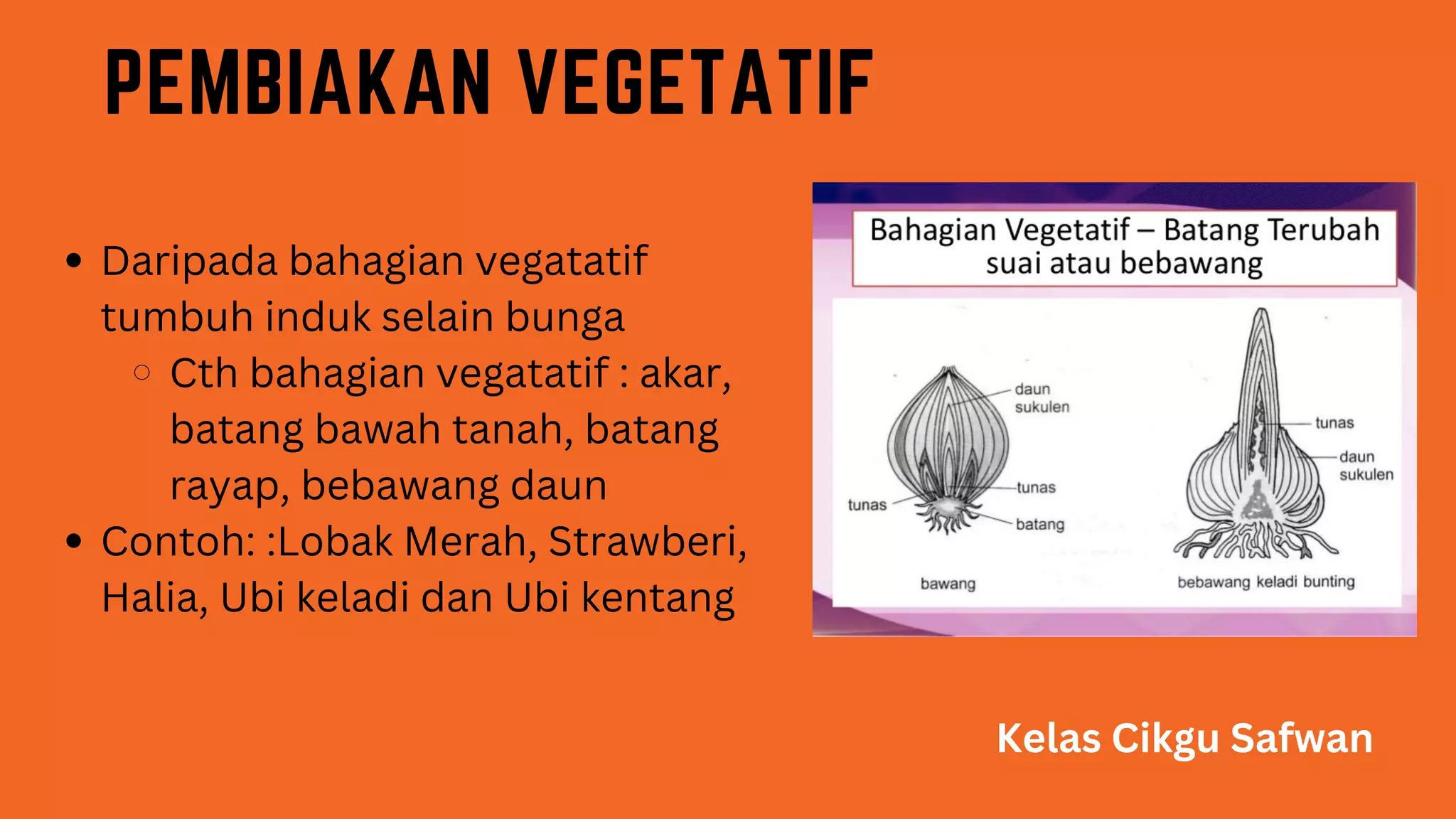 Sains Tingkatan 1 (Bab 4 Pembiakan Seks & Aseks) by Cikgu Safwan | PDF