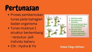 Sains Tingkatan 1 (Bab 4 Pembiakan Seks & Aseks) by Cikgu Safwan | PDF