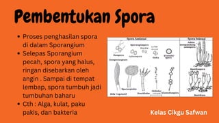 Sains Tingkatan 1 (Bab 4 Pembiakan Seks & Aseks) by Cikgu Safwan | PDF
