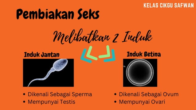 Sains Tingkatan 1 (Bab 4 Pembiakan Seks & Aseks) by Cikgu Safwan | PDF