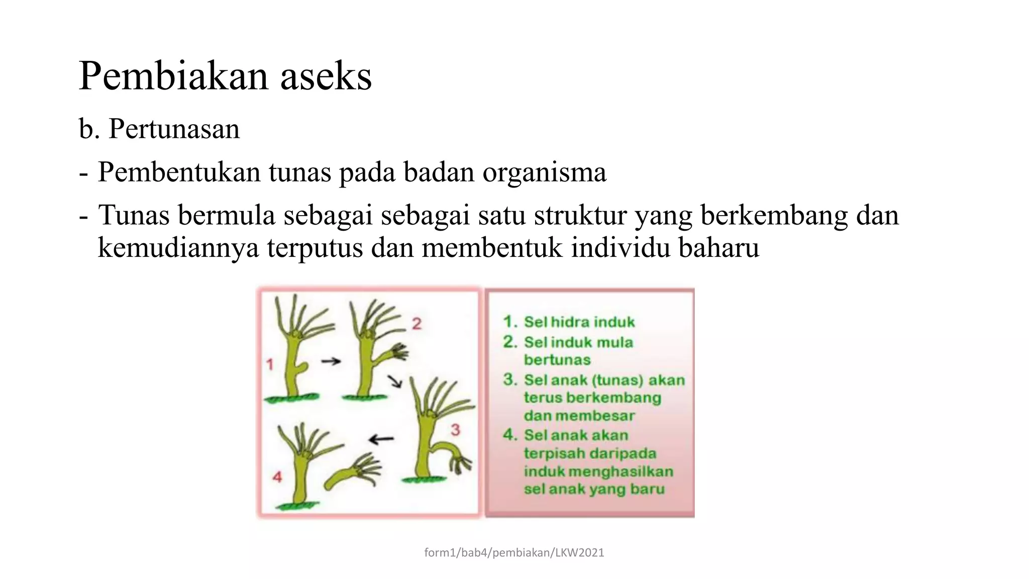 Sains Bab 4 pembiakan f1.pptx