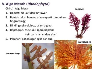 Bab 4 protista | PPTX