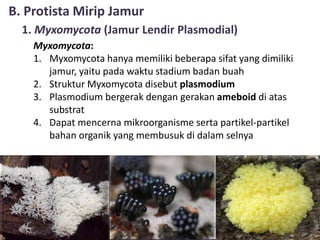 Bab 4 protista | PPTX