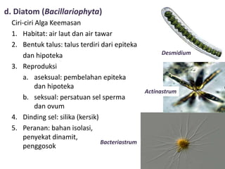 Bab 4 Protista.pptx