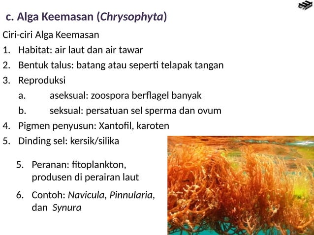 Bab 4 Protista materi berbagai mikroorganisme yang bermanfaat bagi kehidupan.pptx