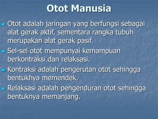 Sistem gerak pada manusia terdiri dari rangka dan otot | PPT
