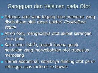 SISTEM GERAK PADA MANUSIA DAN ALAT REPRODUKSI MANUSIA UNTUKK MAKHLUK ...