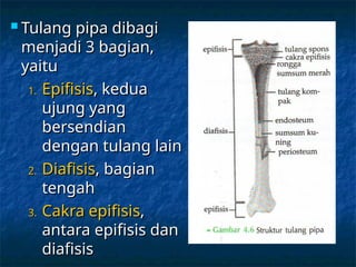 SISTEM GERAK PADA MANUSIA PEMBELAJARAN KELAS 6 SEKOLAH DASAR.ppt