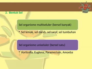 sistem organisasi kehidupan ipa kelas 7 smp | PPTX