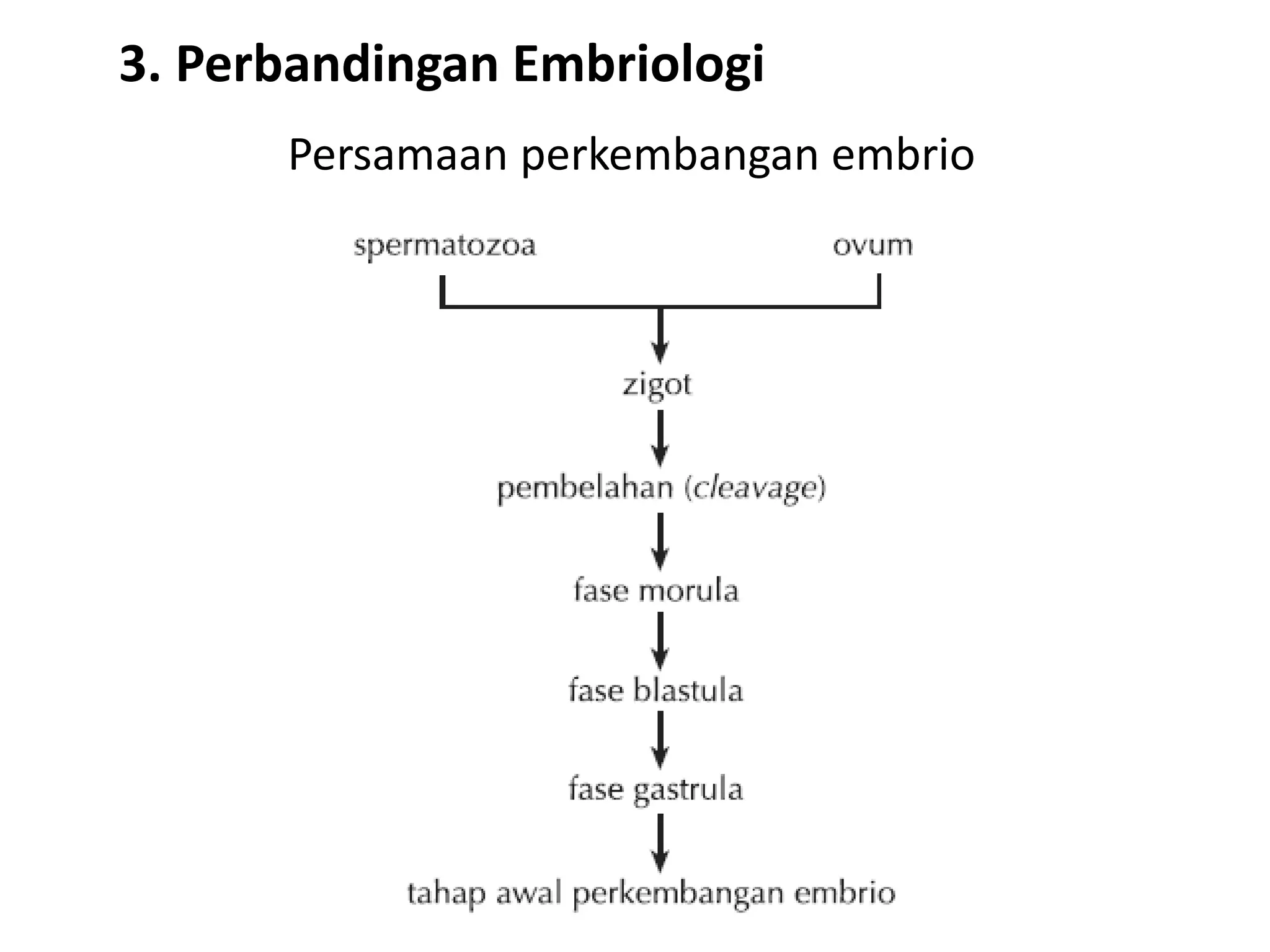 Bab 4 TEORI EVOLUSI_ www.kampusimpian.com.pptx