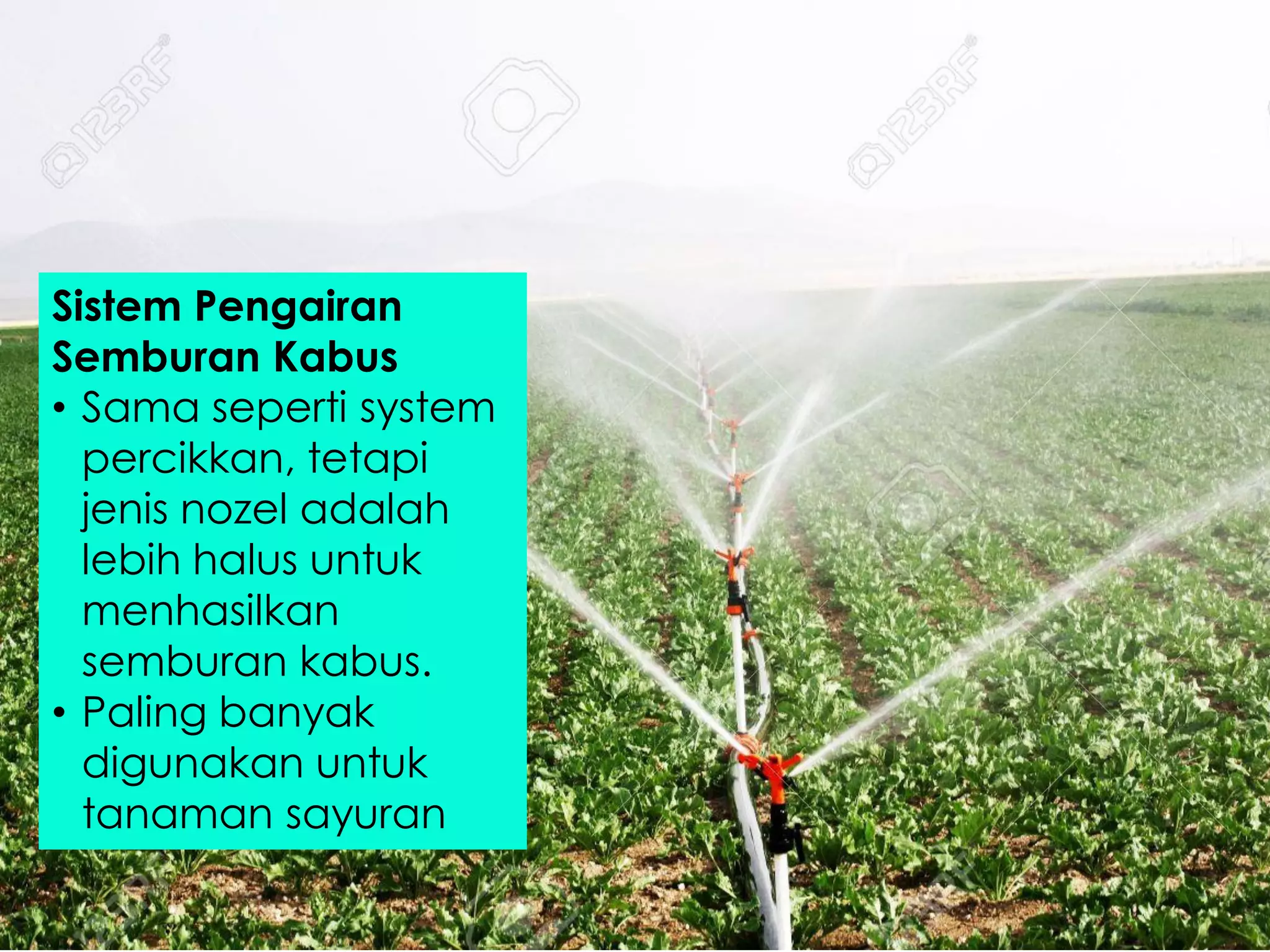 Reka Bentuk Fertigasi | PDF