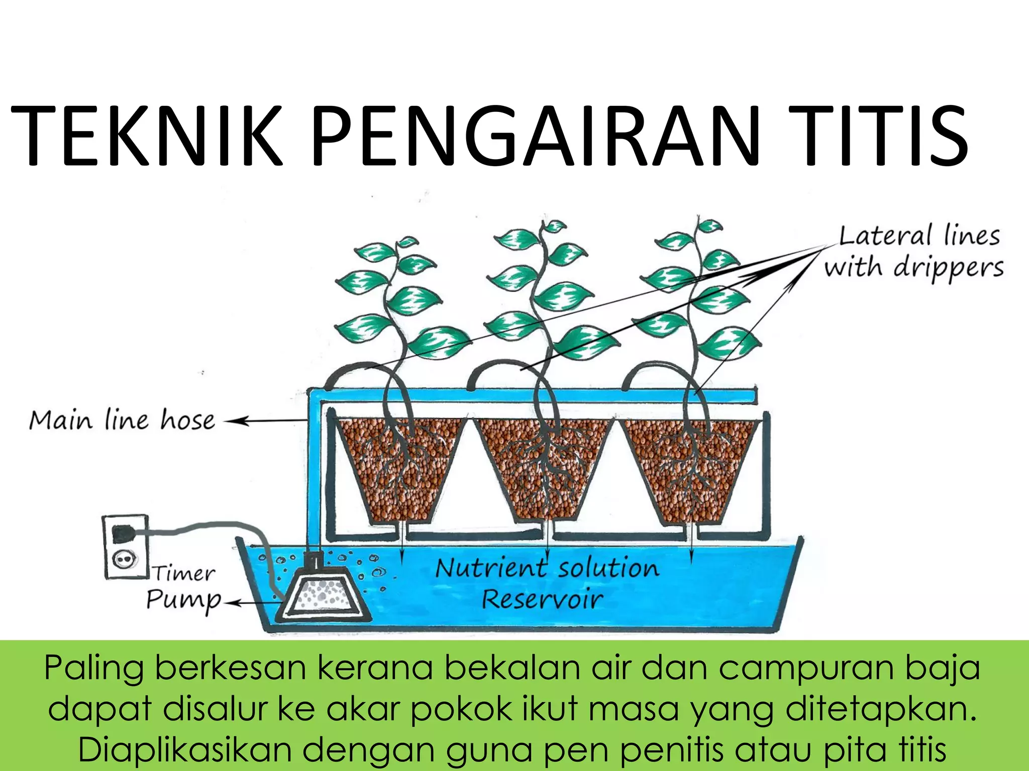 Reka Bentuk Fertigasi | PDF