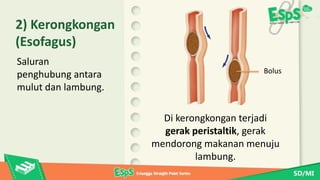 BAB 5. Cara Tubuh Manusia Bekerja dan Pertumbuhannya.pptx