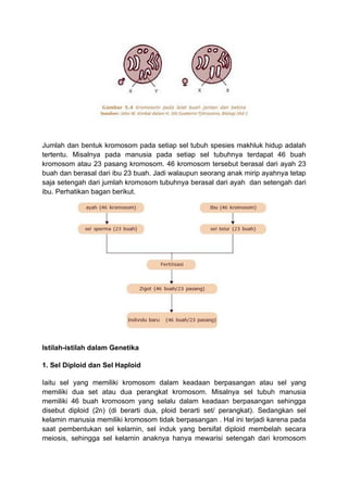 Bab 5 biologi ting 5 | DOC