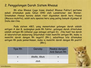 Bab 5 hereditas manusia - Kelas 3 SMA | PPT
