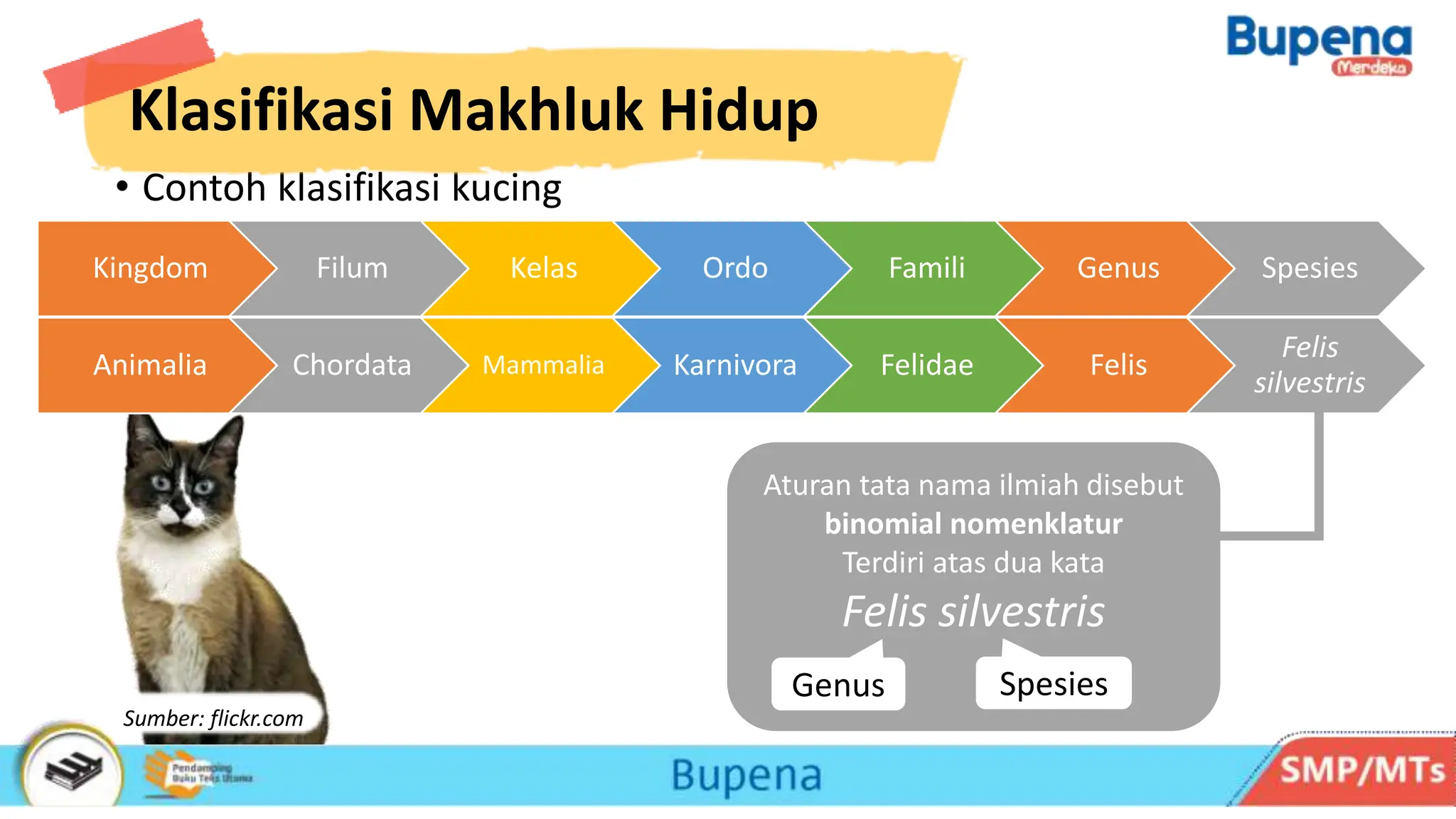 Bab 5 IPA SMP kelas 7 - Klasifikasi Makhluk Hidup.pptx