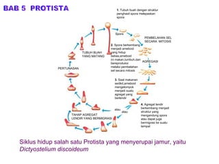 Bab 5.protista | PPT