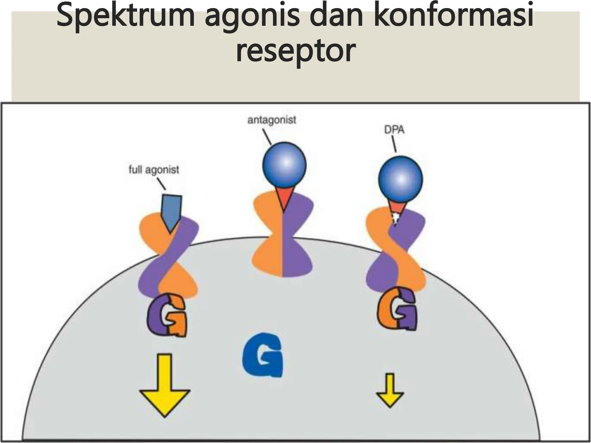 Bab_5_Antipsikotik_pptx.pptx