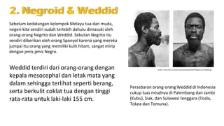 BAB 5 Asal-Usul Nenek Moyang Bangsa Indonesia.pdf