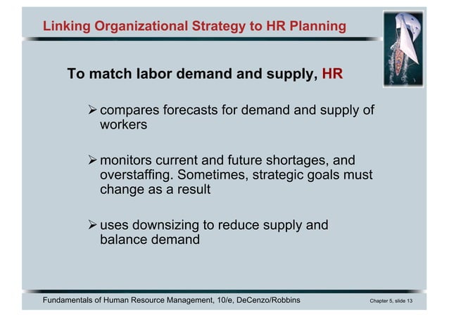Chapter 5 Effective Job Analysis | PDF