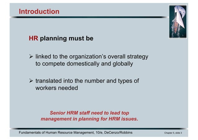 Chapter 5 Effective Job Analysis | PDF